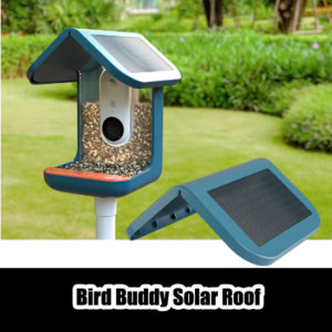Bird Buddy Reviews: Must Read This Before Buying